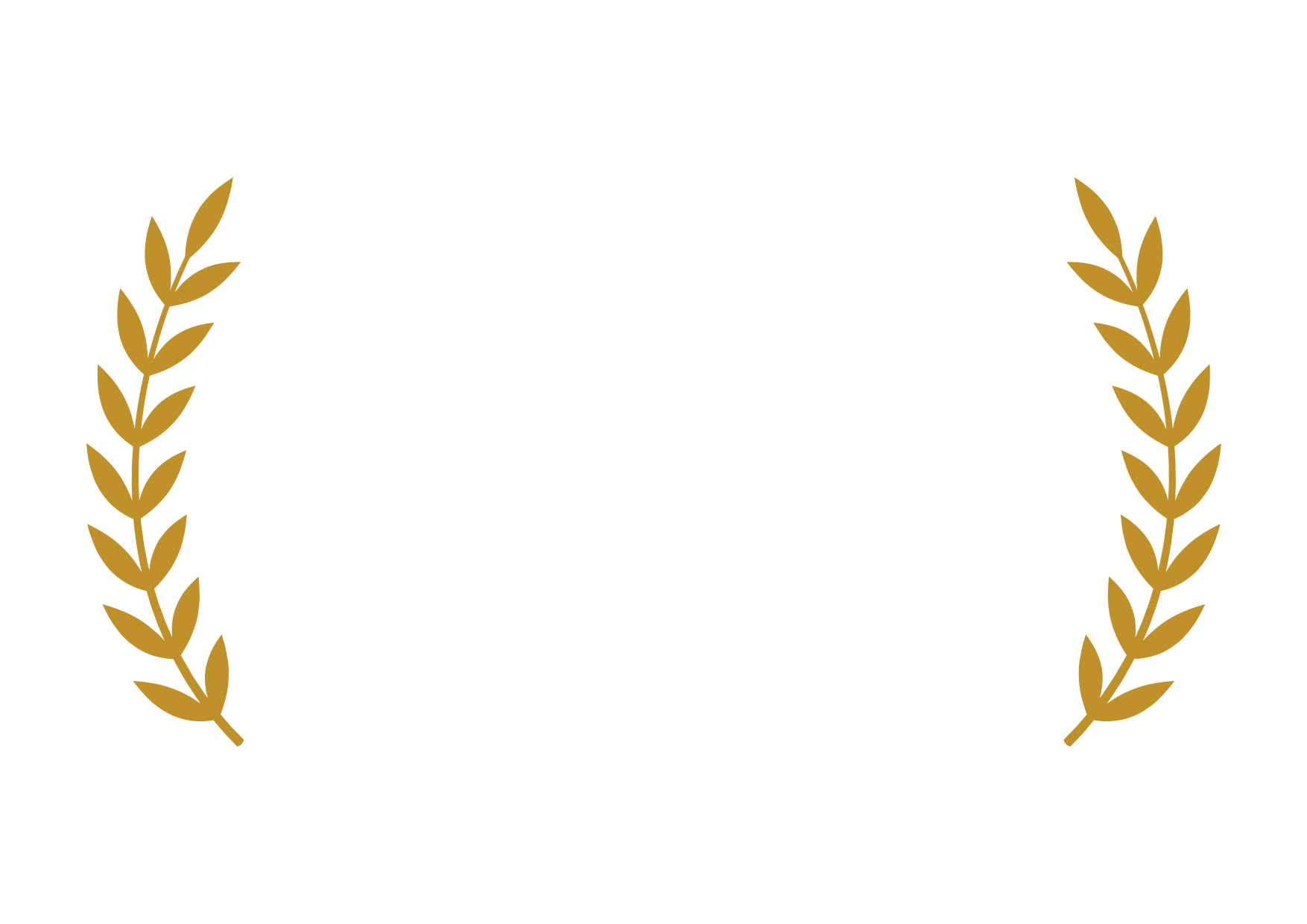 The British Martial Arts & Boxing Association (BMABA) For Instructor ...