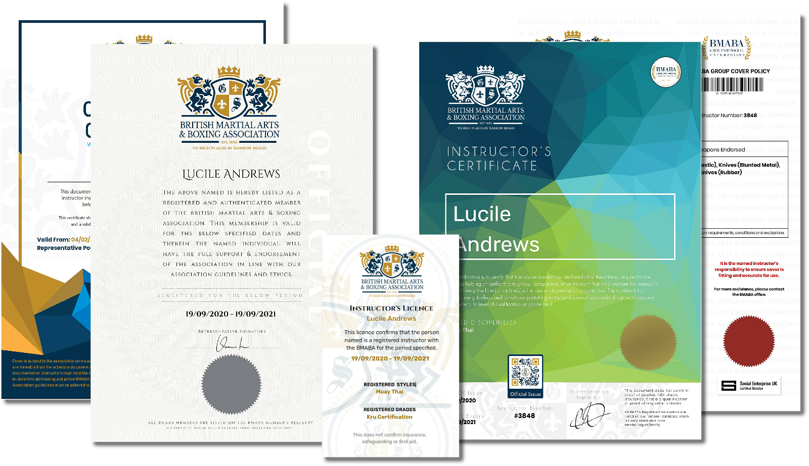 Silver Membership Overview - British Martial Arts & Boxing Association ...