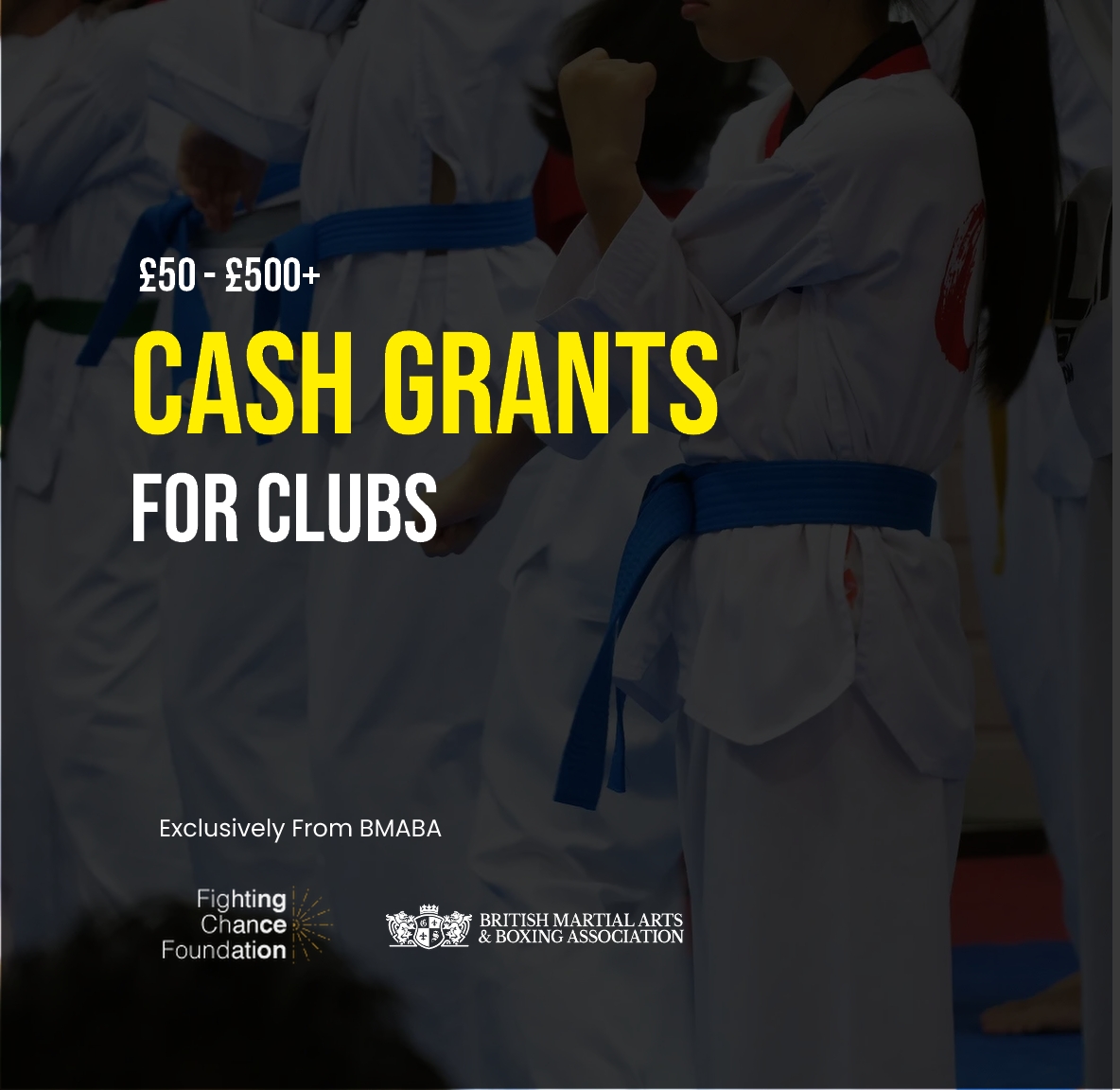 BMABA Announce New Club Grants Scheme - British Martial Arts & Boxing ...